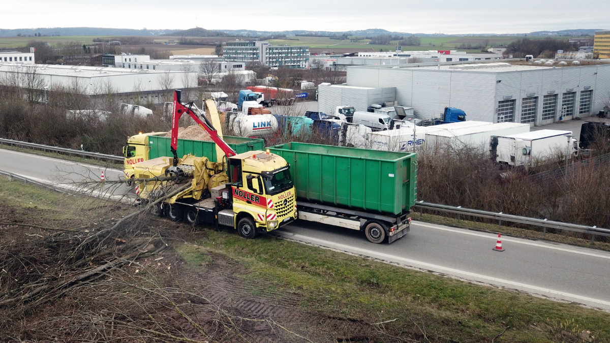 Gehölzpflege - Rodungsarbeiten