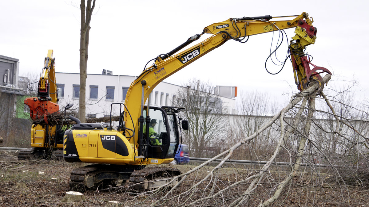 Gehölzpflege - Rodungsarbeiten