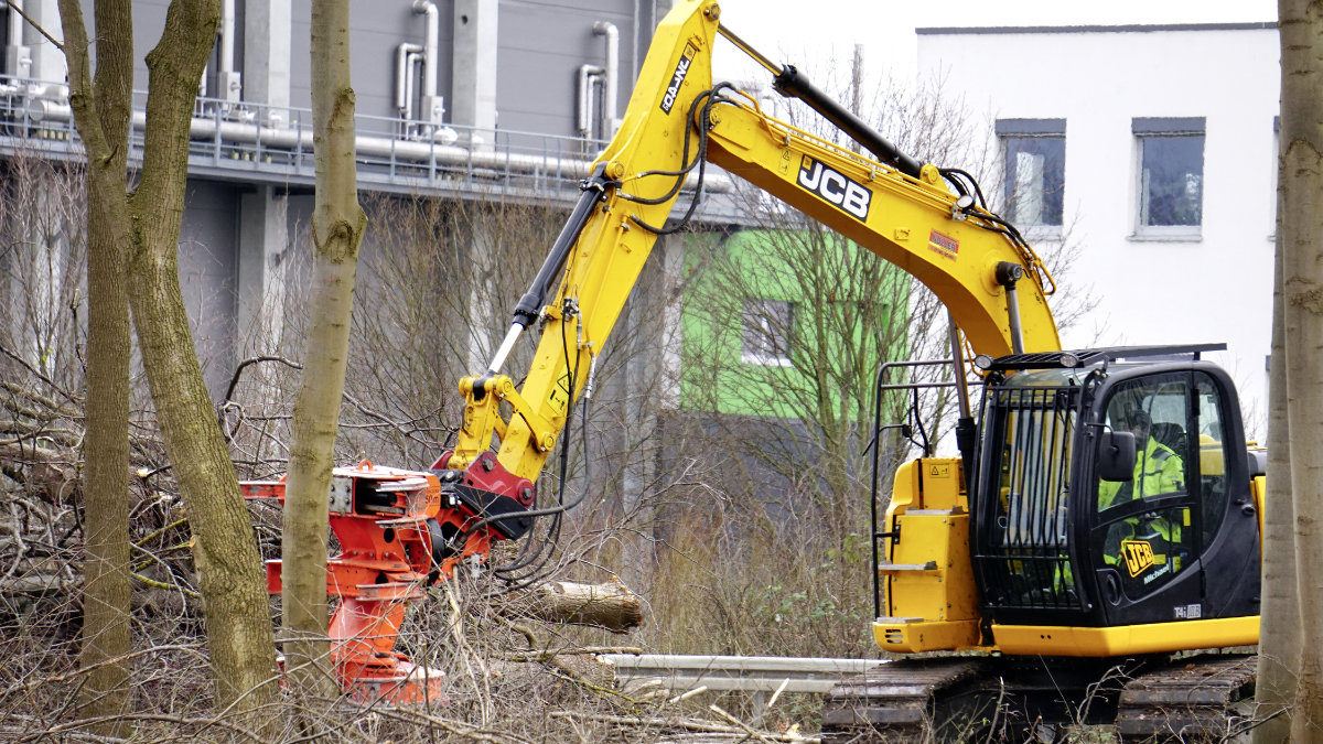 Gehölzpflege - Rodungsarbeiten