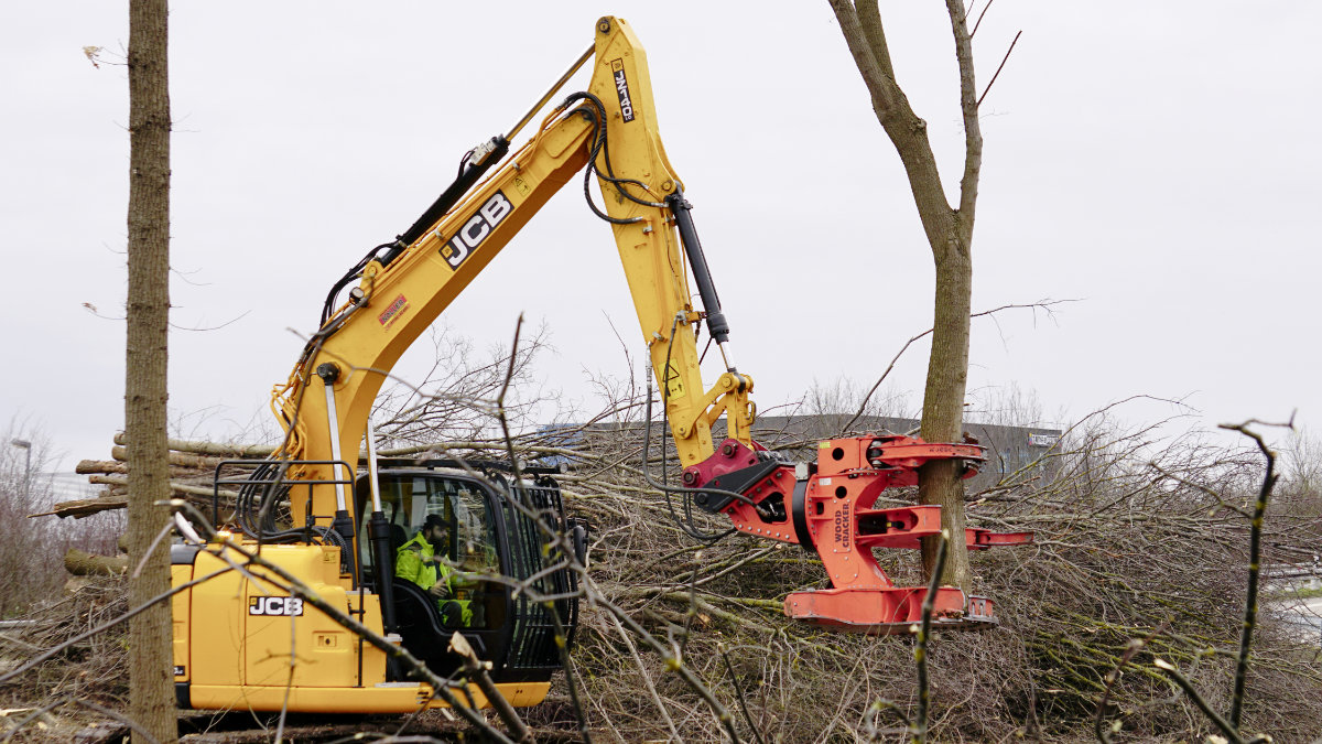 Gehölzpflege - Rodungsarbeiten