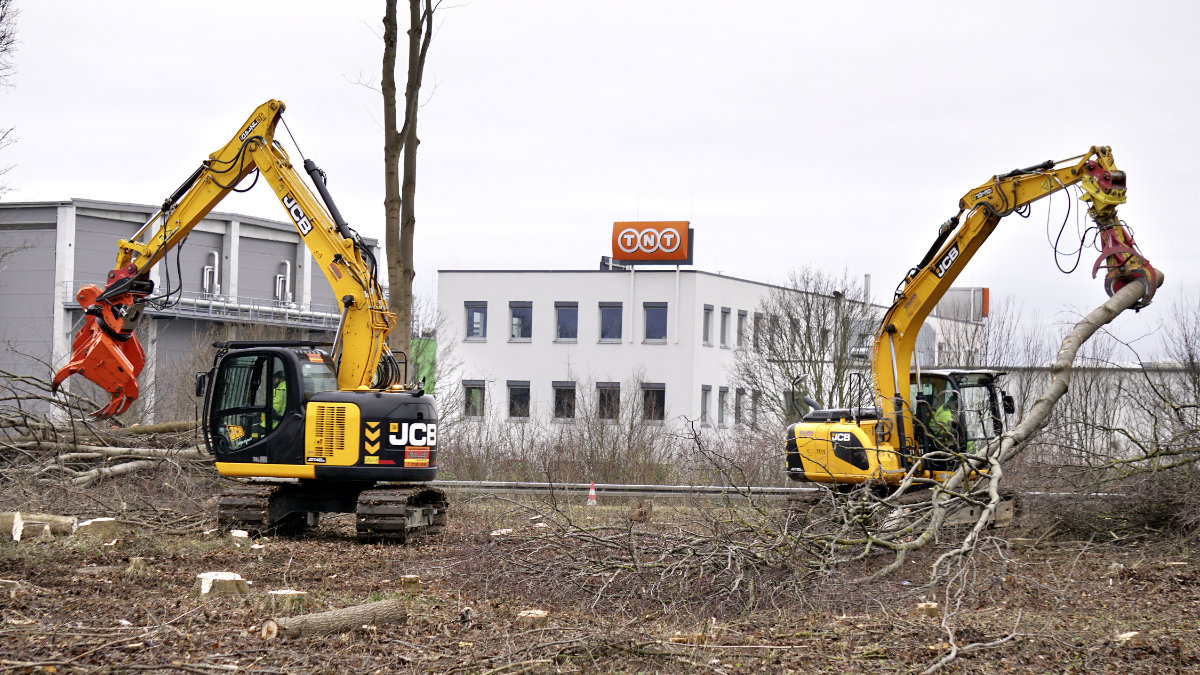 Gehölzpflege - Rodungsarbeiten