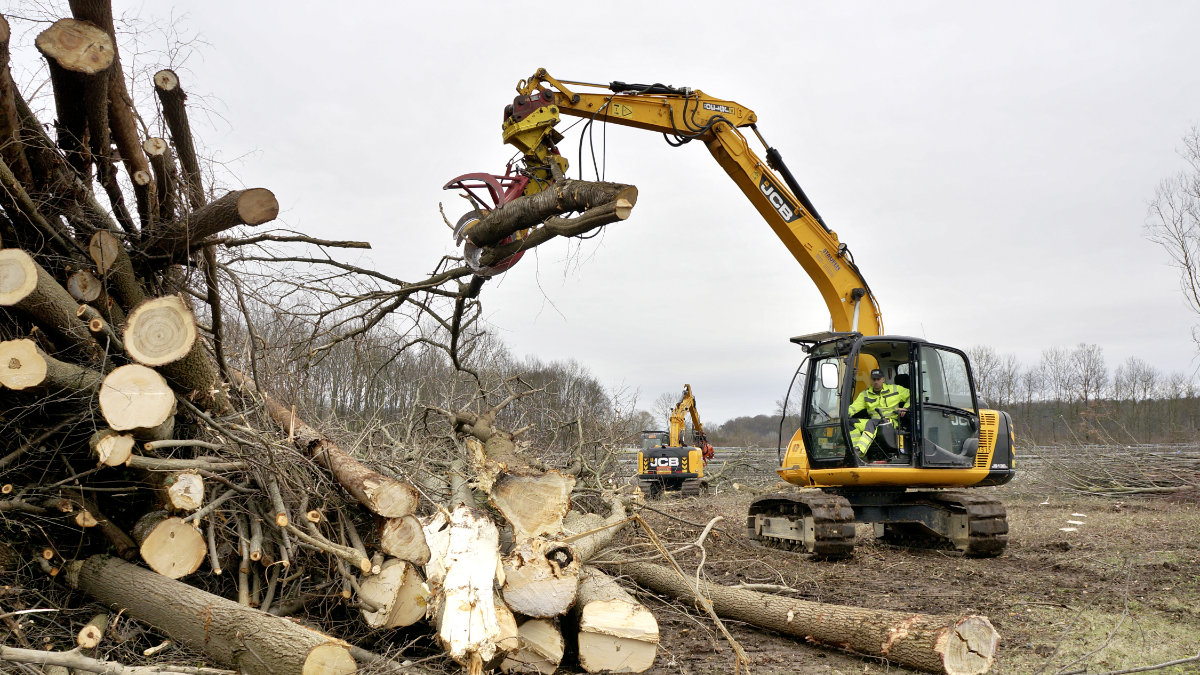 Gehölzpflege - Rodungsarbeiten
